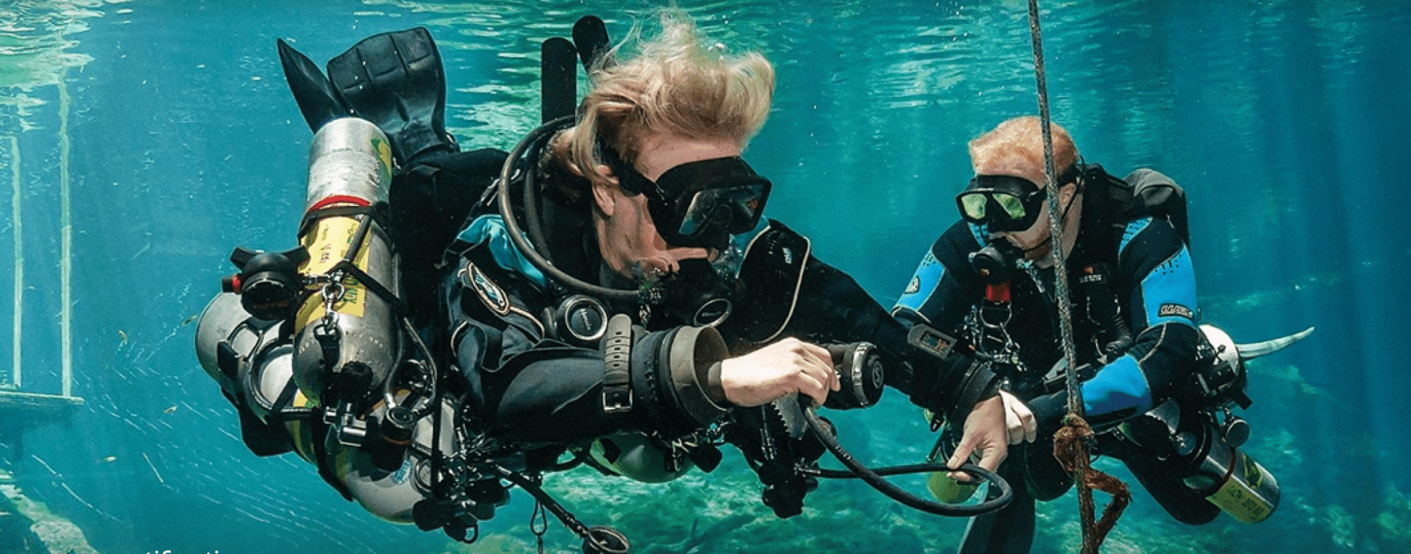 TEC Dives - Just Diving Mauritius