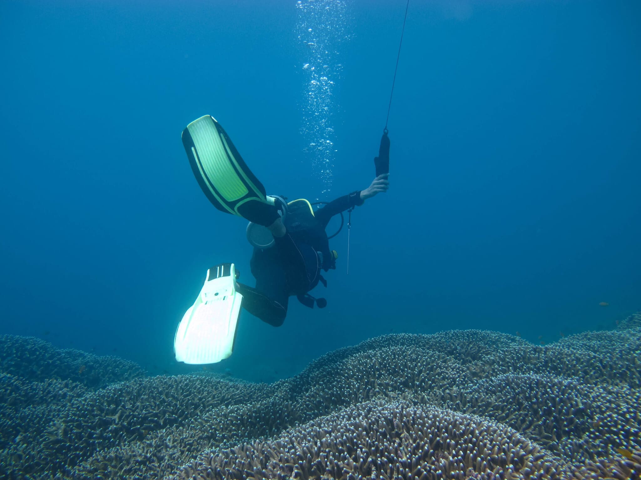 Drift Diver - Just Diving Mauritius