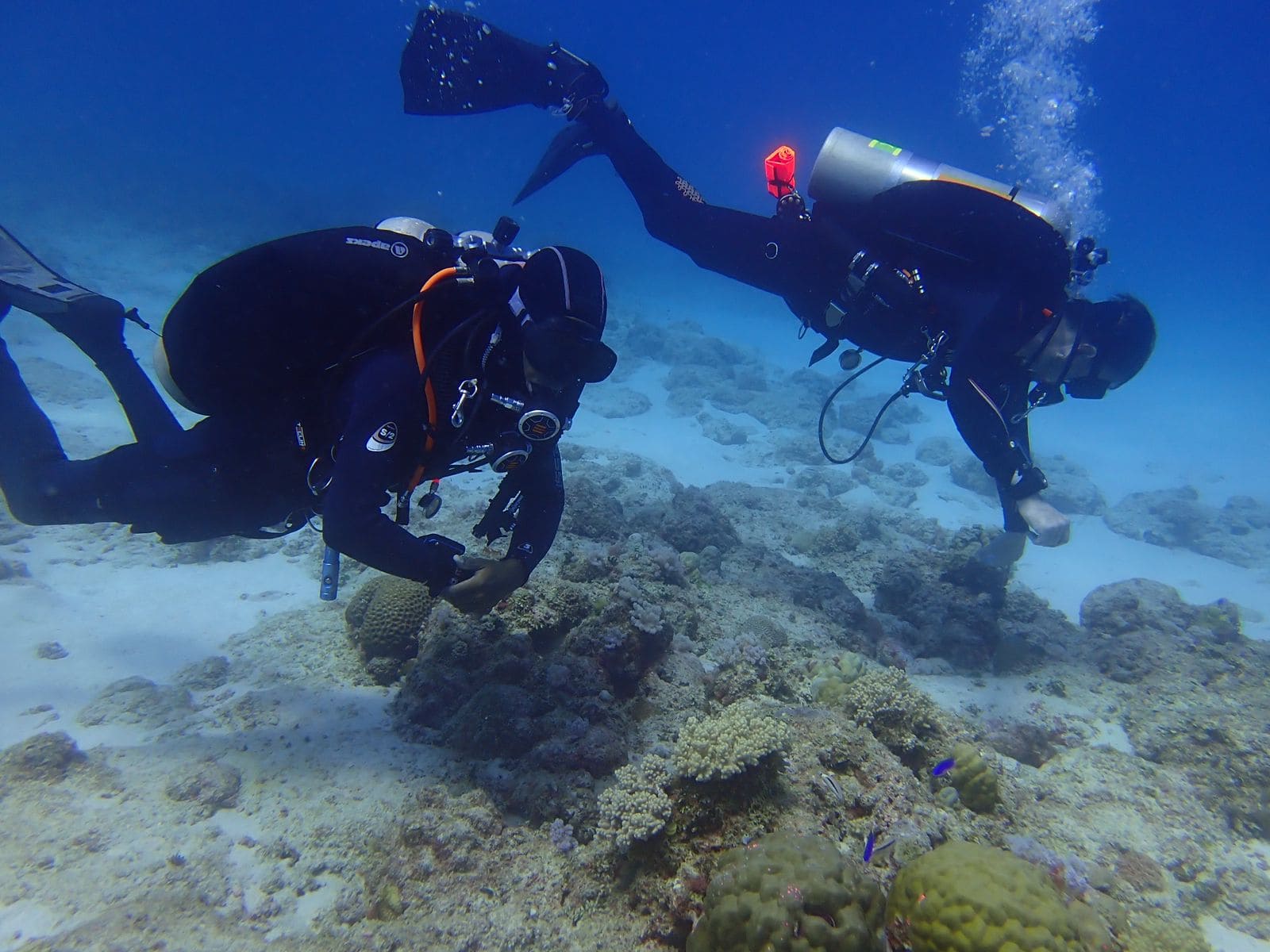 Sidemount Dives - Twin - Bi - Just Diving Mauritius